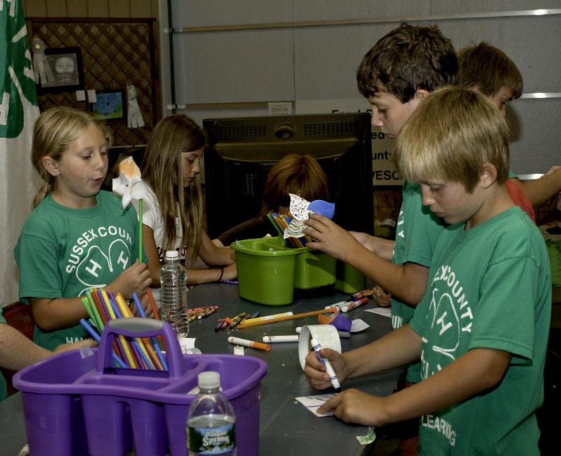 About 4-H – Sussex County 4-H