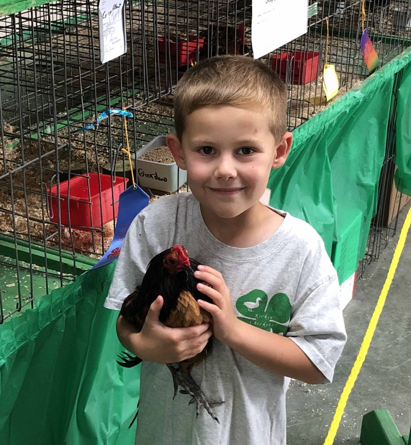 2019 NJ 4-H Rabbit, Cavy, Small Animal, Herpetology, & Poultry Show ...